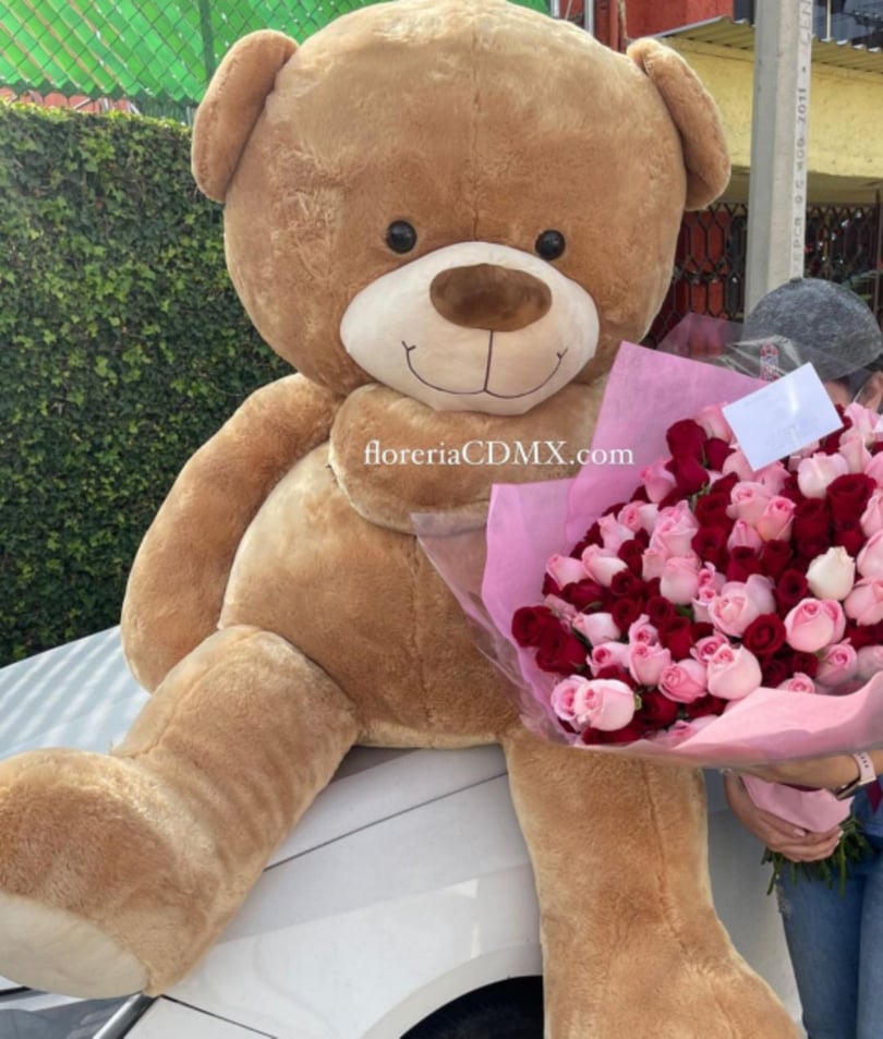 Oso De Chocolate Gigante